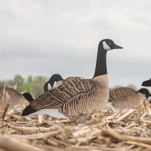 Decoys | Realistic, Durable and Built for Hunting Success – Page 2 ...