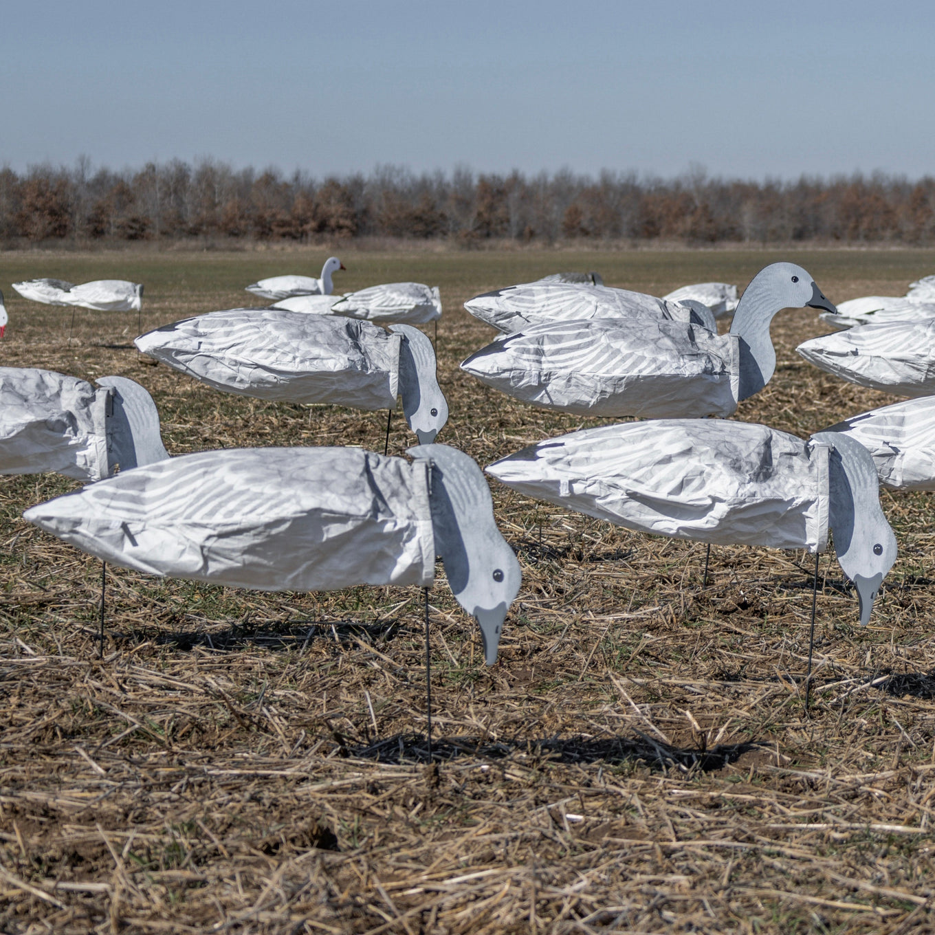 Snow Goose Sock Decoys – Dive Bomb Industries