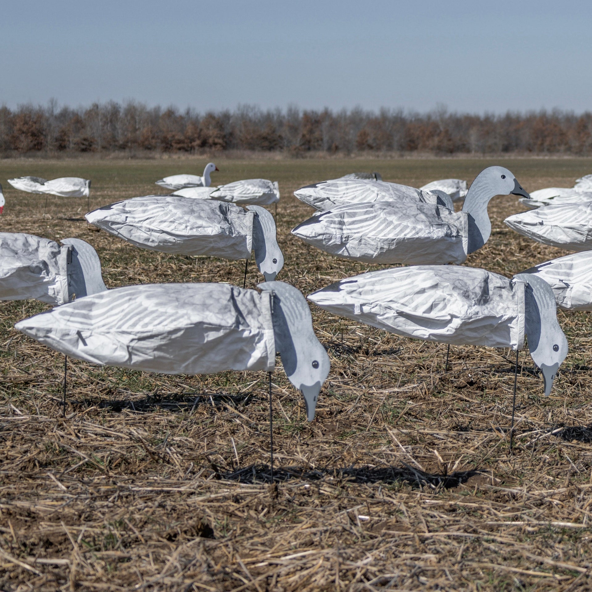 Snow Goose Sock Decoys – Dive Bomb Industries