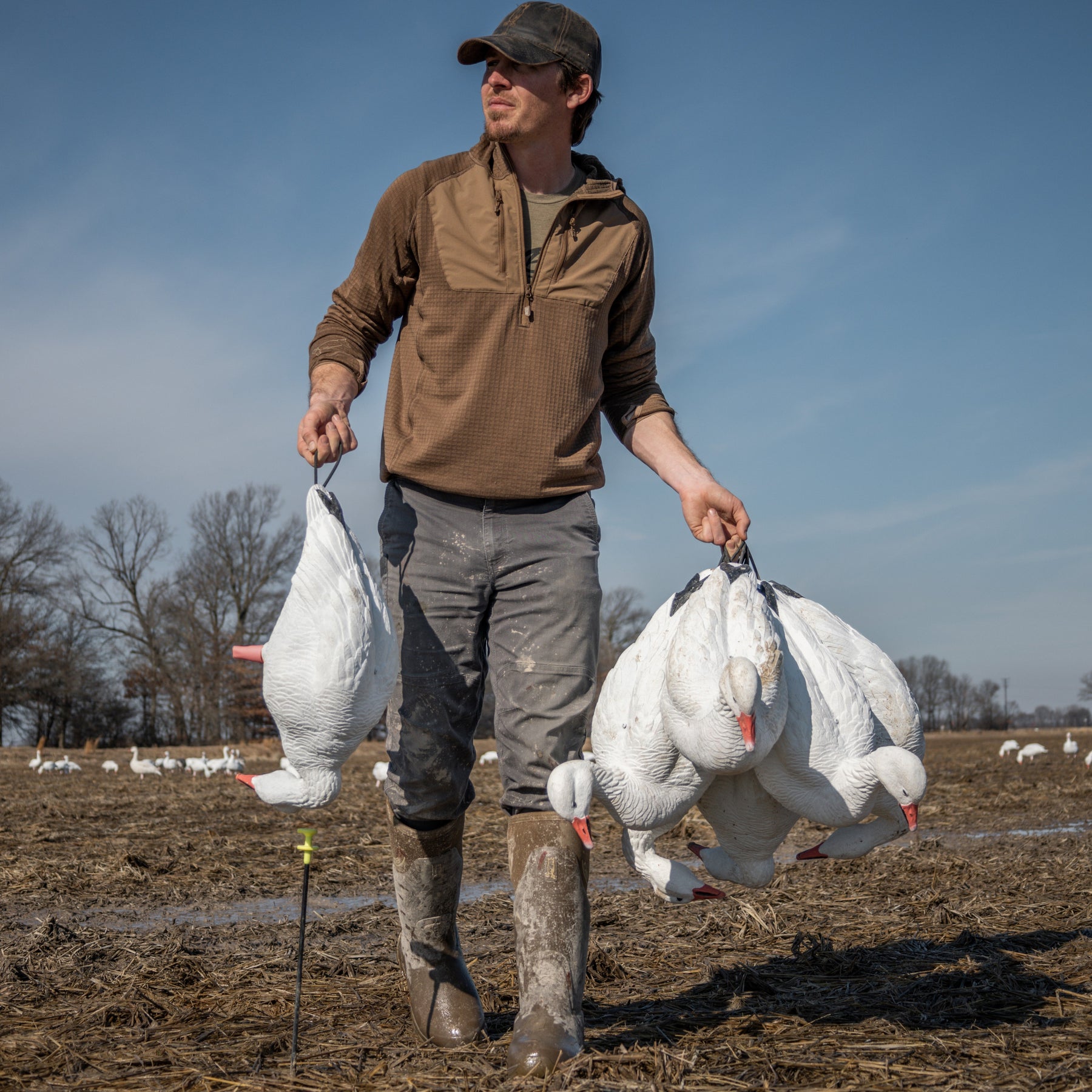 DB Snow Goose Full Bodies - Geese Decoys | Dive Bomb Industries