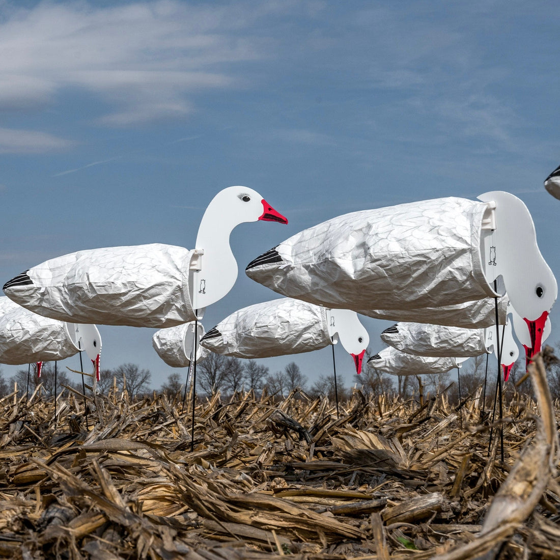Snow Goose Decoys | Realistic, Durable, and Lightweight – Dive Bomb ...