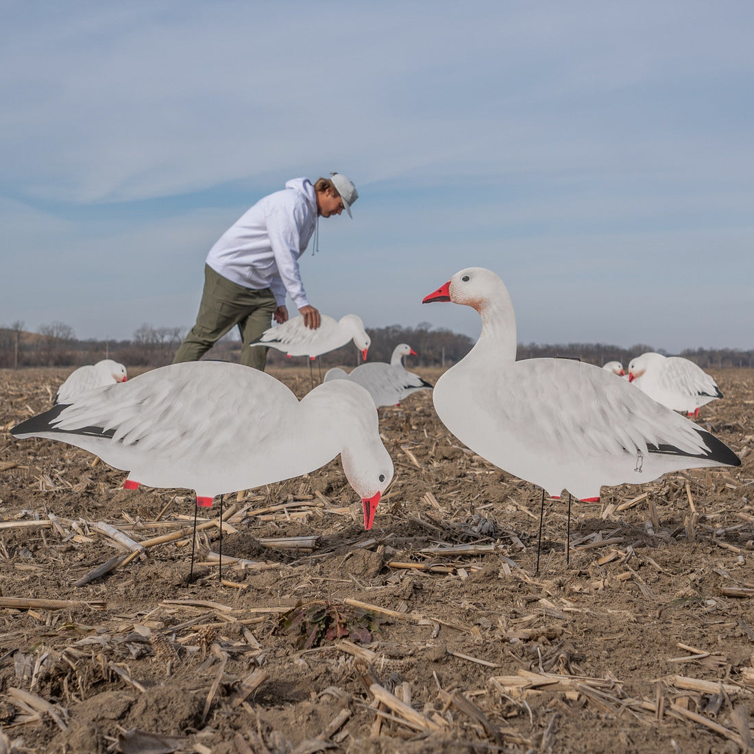 Snow Goose Decoys | Realistic, Durable, and Lightweight – Dive Bomb ...