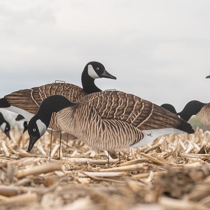 V3 Canada Goose Silhouettes | Lightweight & Lifelike Decoys – Dive Bomb ...