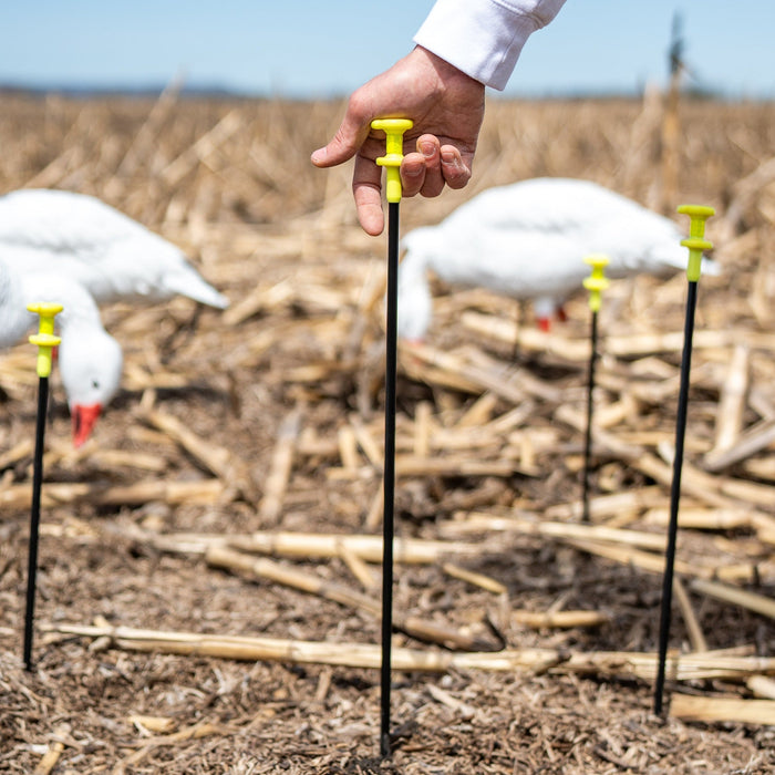 Juvie Goose Full Body Decoys - Highly Realistic | Dive Bomb Industries