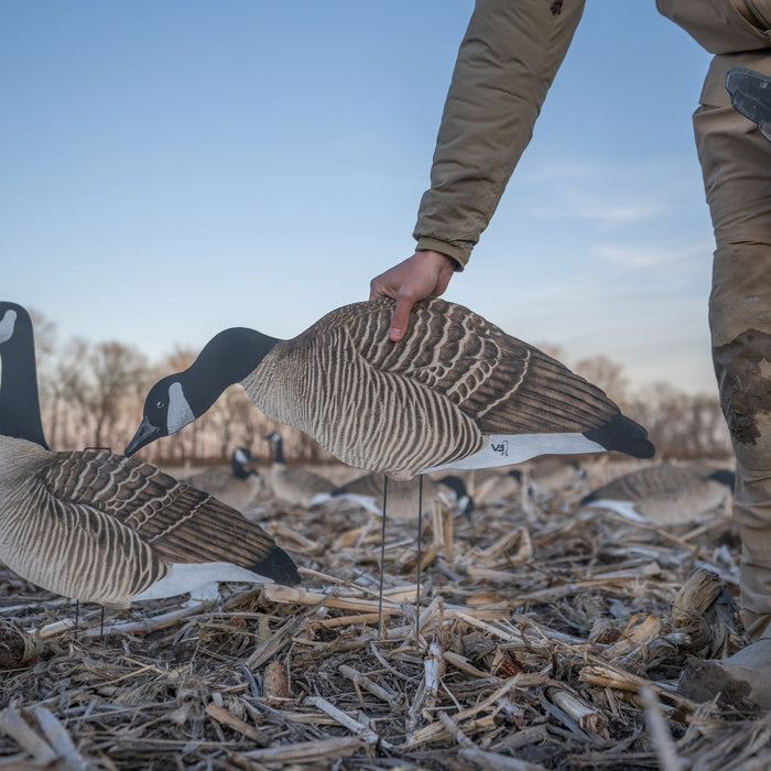 V3 Canada Goose Silhouettes | Lightweight & Lifelike Decoys – Dive Bomb ...