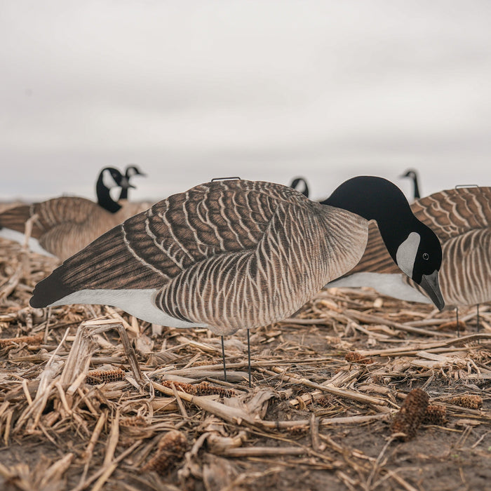V3FF Fully Flocked Goose Decoys | Ultra-Durable – Dive Bomb Industries