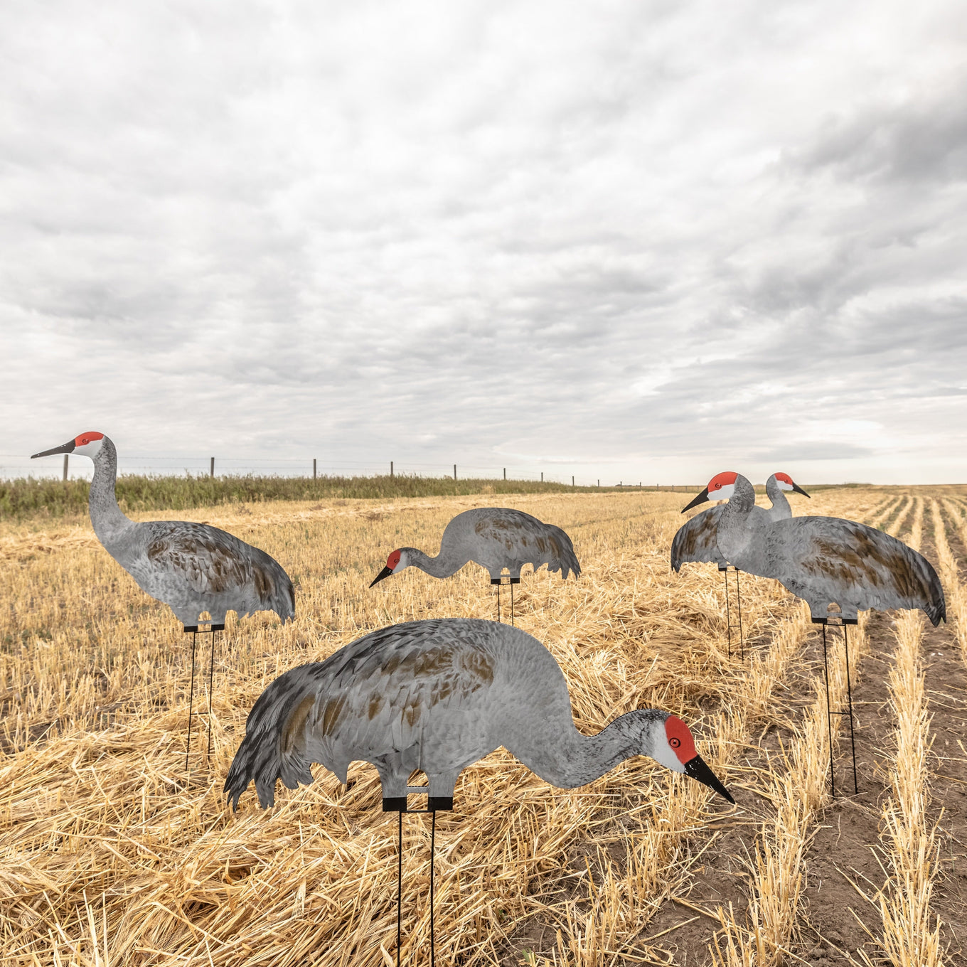 Crane Decoys | Realistic, Durable, and Lightweight – Dive Bomb Industries
