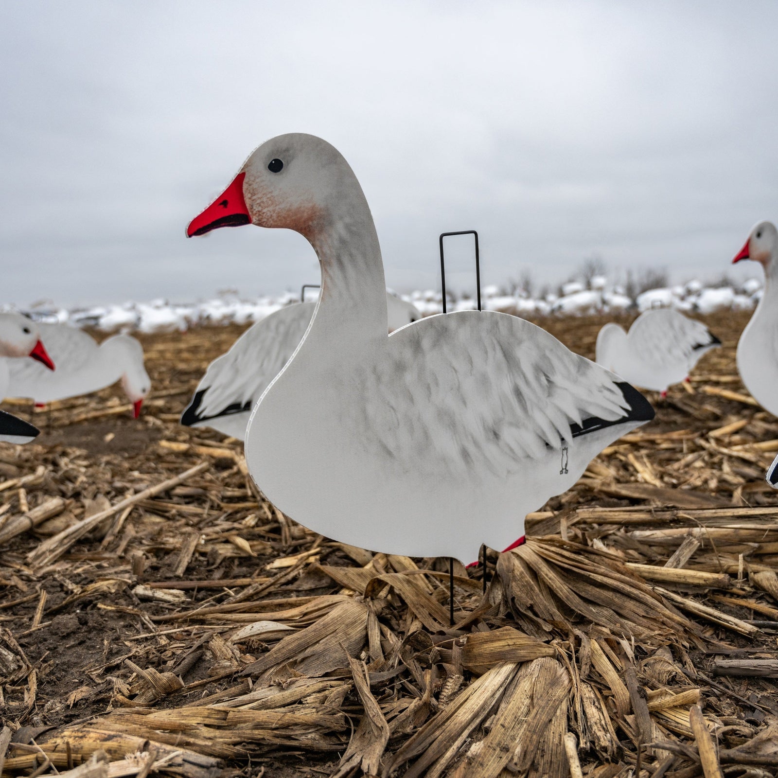 Snow Goose Decoys | Realistic, Durable, and Lightweight – Dive Bomb ...