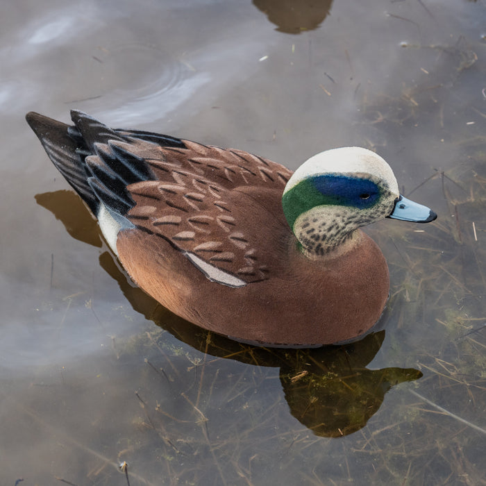 Fully Flocked Wigeon Decoys | Lifelike & Durable Decoys – Dive Bomb ...