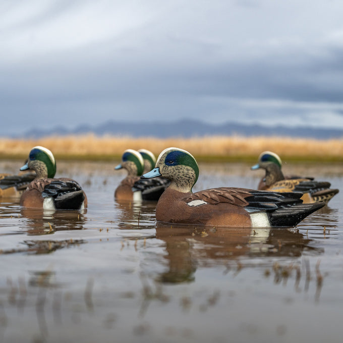 Duck Decoys | Most Realistic, Durable & Lightweight Ducks – Dive Bomb ...