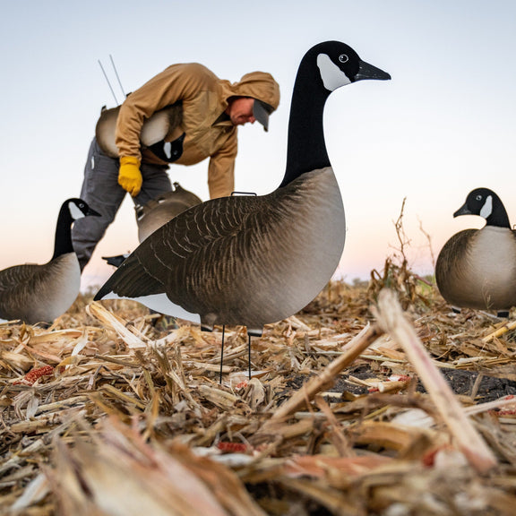 Canada Goose Silhouette Decoys | Dive Bomb Industries