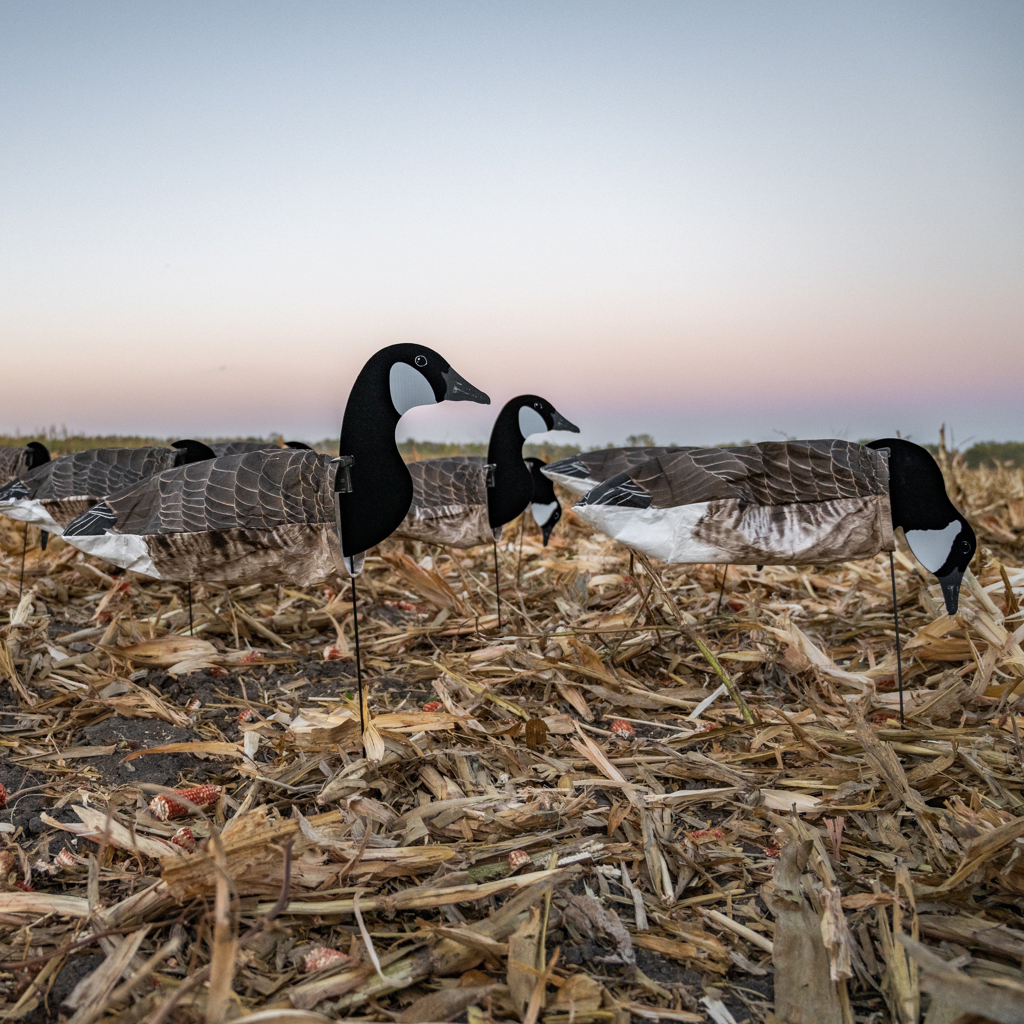 Canada Goose Socks | Lightweight & Lifelike Motion Decoys – Dive Bomb ...