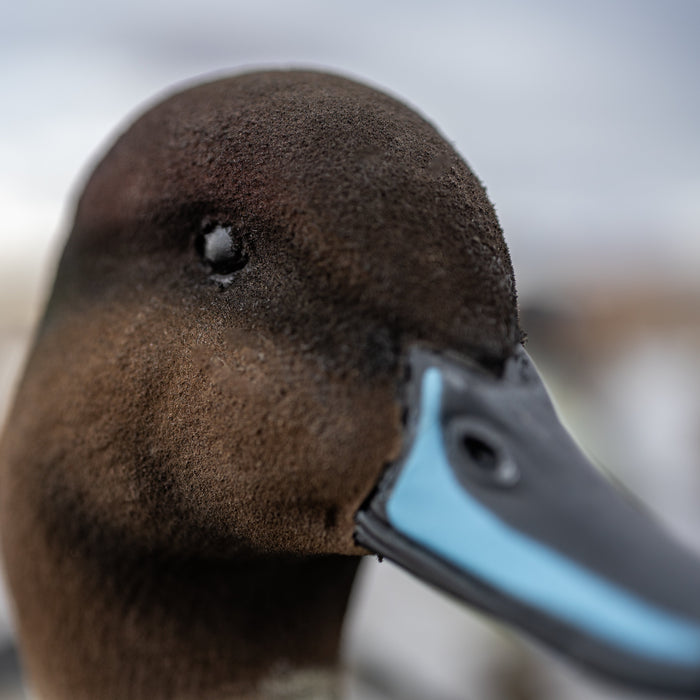 Fully Flocked Pintail Decoys | Ultra-Realistic Duck Decoys – Dive Bomb ...
