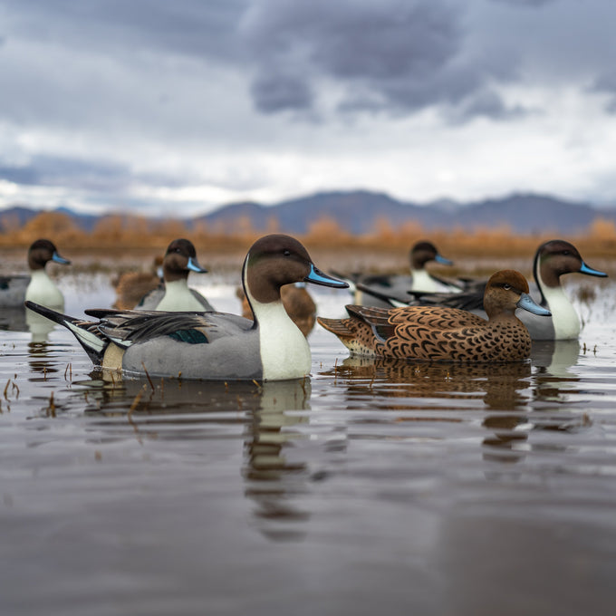 Duck Decoys | Most Realistic, Durable & Lightweight Ducks – Dive Bomb ...