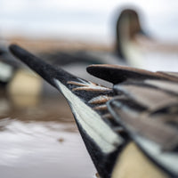 Fully Flocked Pintail Decoys | Ultra-Realistic Duck Decoys – Dive Bomb ...