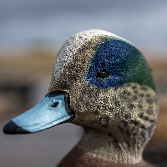 Fully Flocked Wigeon Decoys | Lifelike & Durable Decoys – Dive Bomb ...