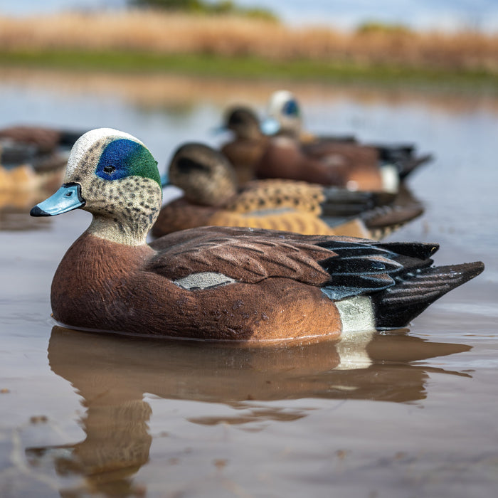 Fully Flocked Wigeon Decoys | Lifelike & Durable Decoys – Dive Bomb ...
