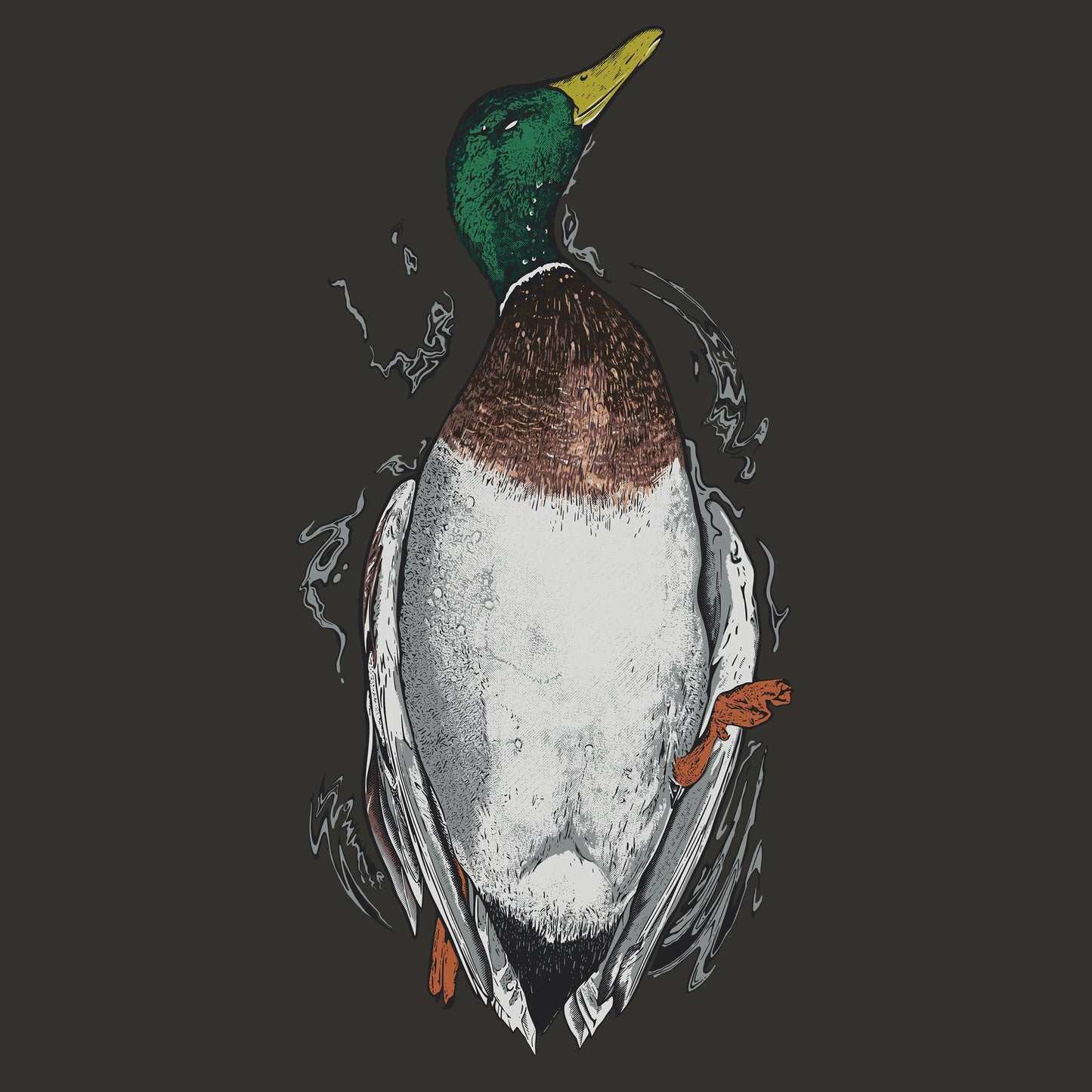 Dive Bomb DB Shirt Of The Month | Limited Edition – Dive Bomb Industries