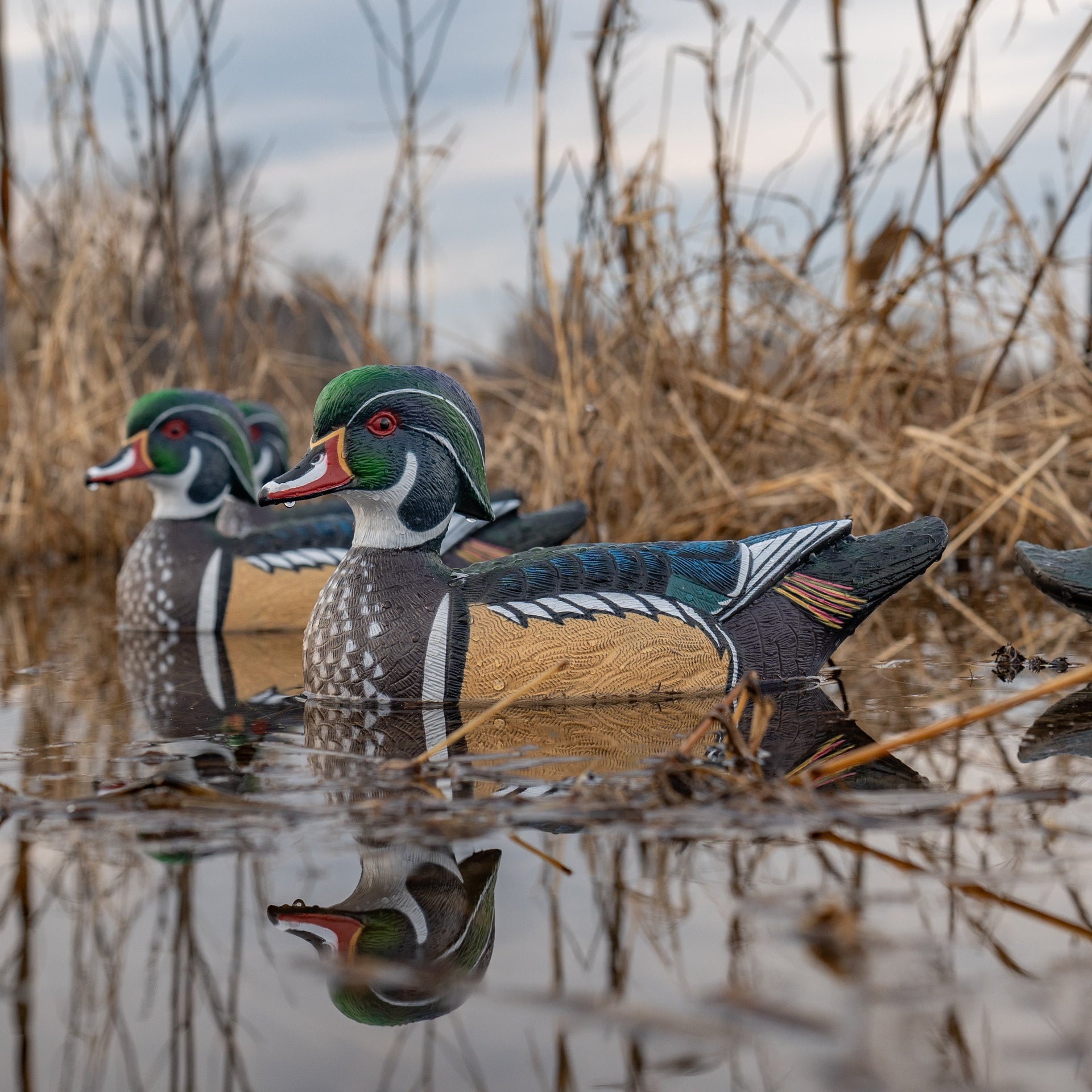 Wood Duck Decoys | Realistic, Durable and Highly Effective – Dive Bomb ...