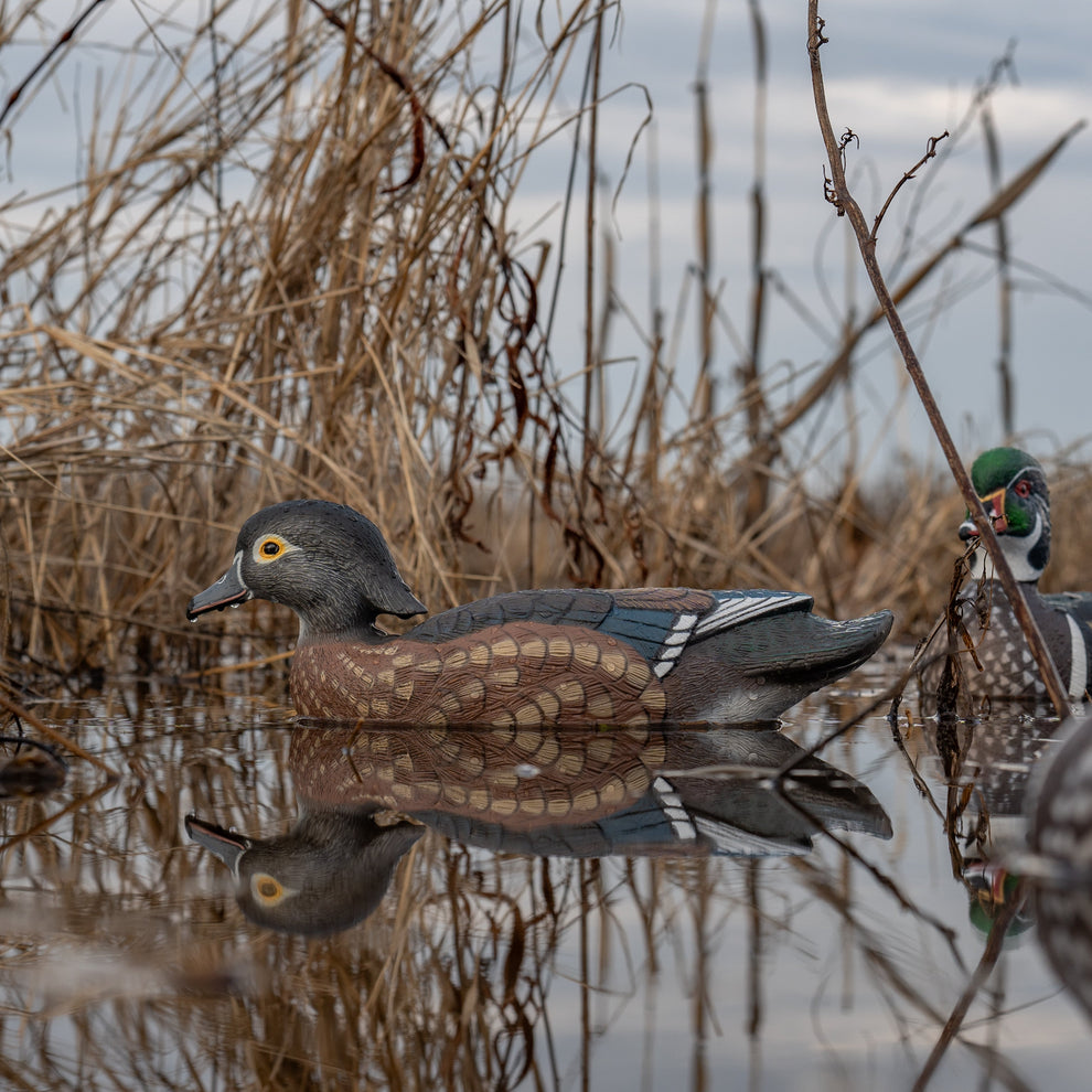 Wood Duck Decoys | Realistic, Durable and Highly Effective – Dive Bomb ...