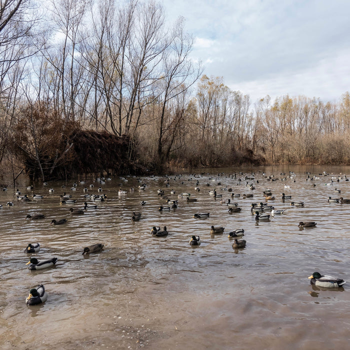 Fully Flocked Mallard Floaters | Ultra-Realistic Duck Decoys – Dive ...