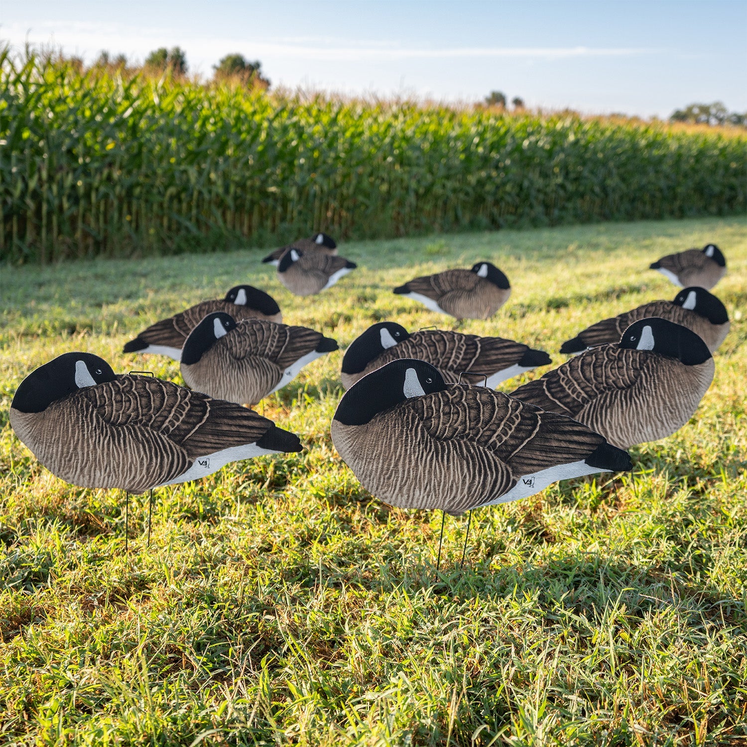 V3 Sleeper Canada Goose Silhouettes | Oversized Realism – Dive Bomb ...