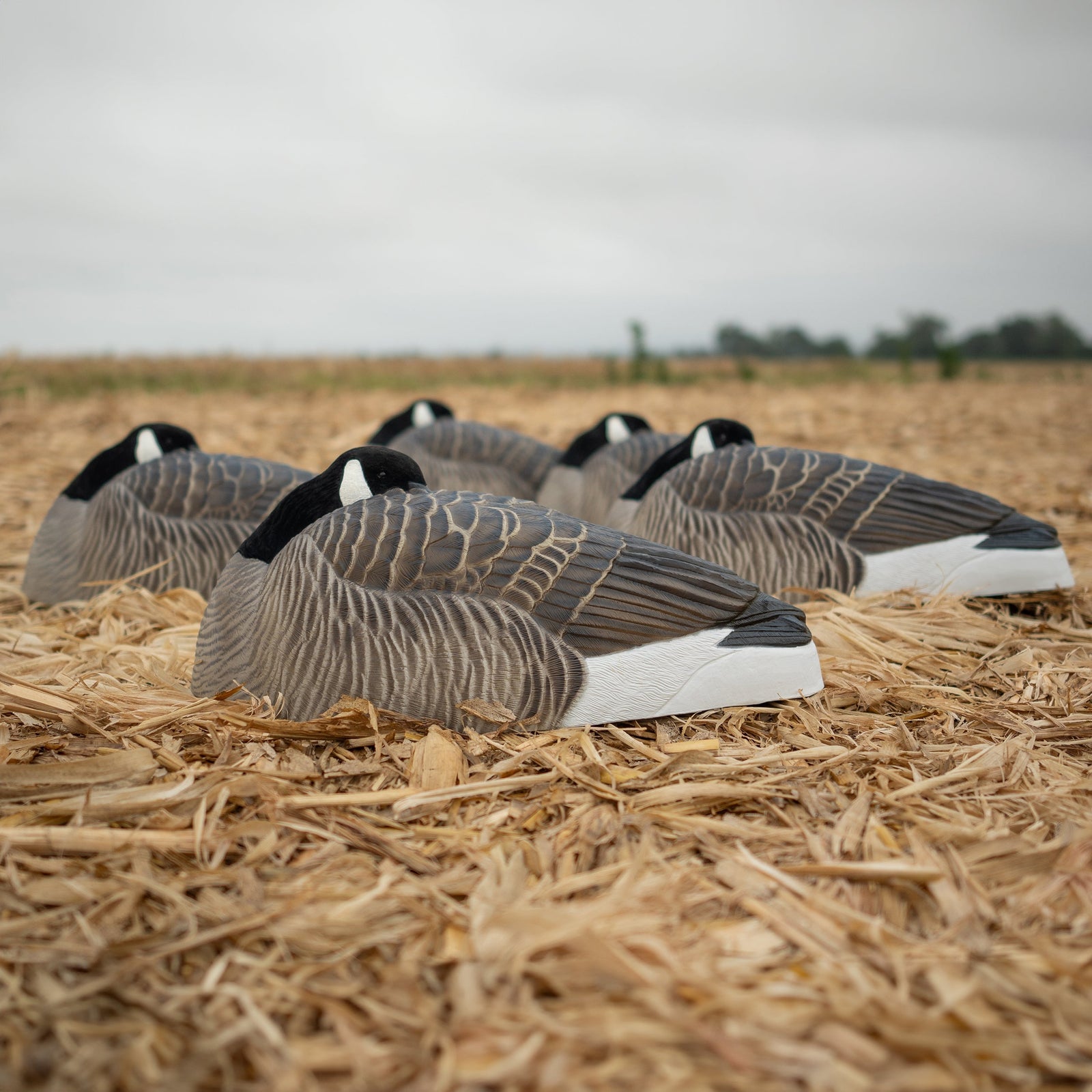 Goose Decoys | Realistic, Durable and Built for Success – Dive Bomb ...