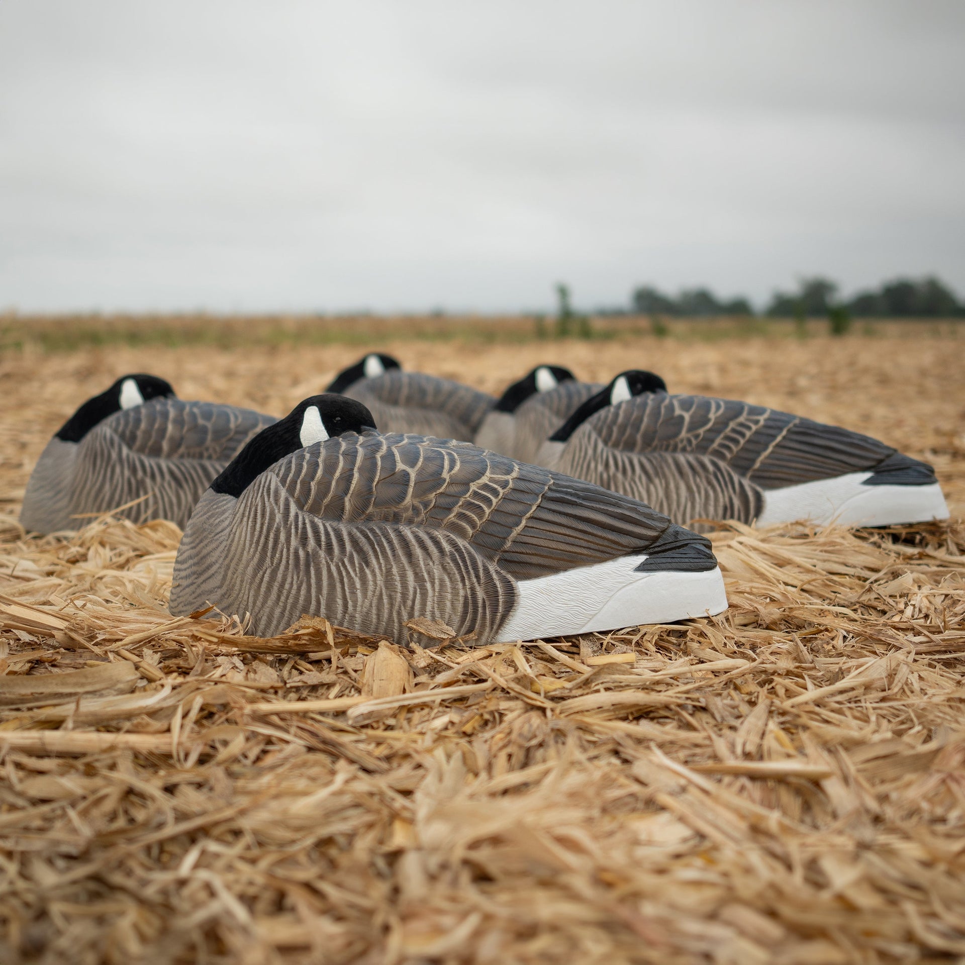 Goose Decoys | Realistic, Durable and Built for Success – Dive Bomb ...
