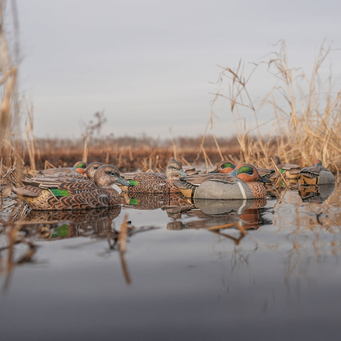 Teal, Wood Duck, & Gadwall Floaters – Dive Bomb Industries