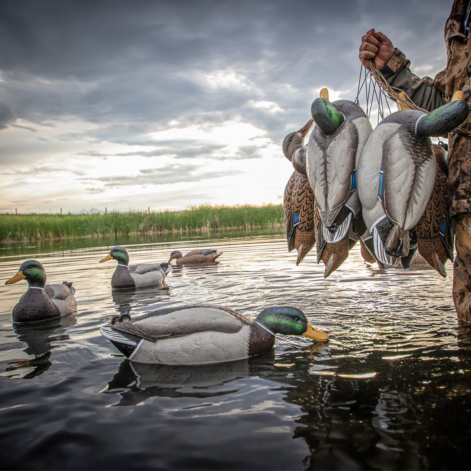 Mallard Decoys | Realistic, Durable and Built for Success – Dive Bomb ...