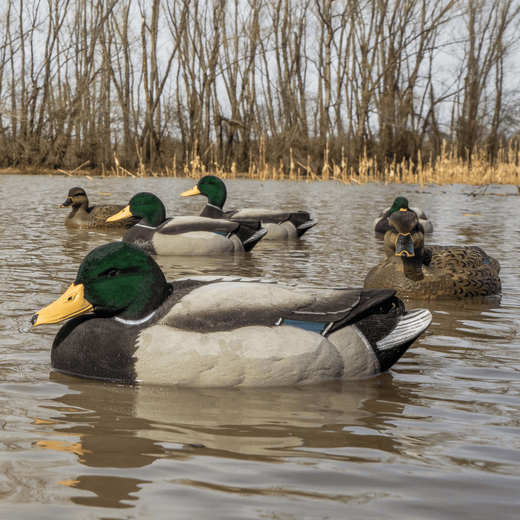 Decoys | Realistic, Durable and Built for Hunting Success – Dive Bomb ...