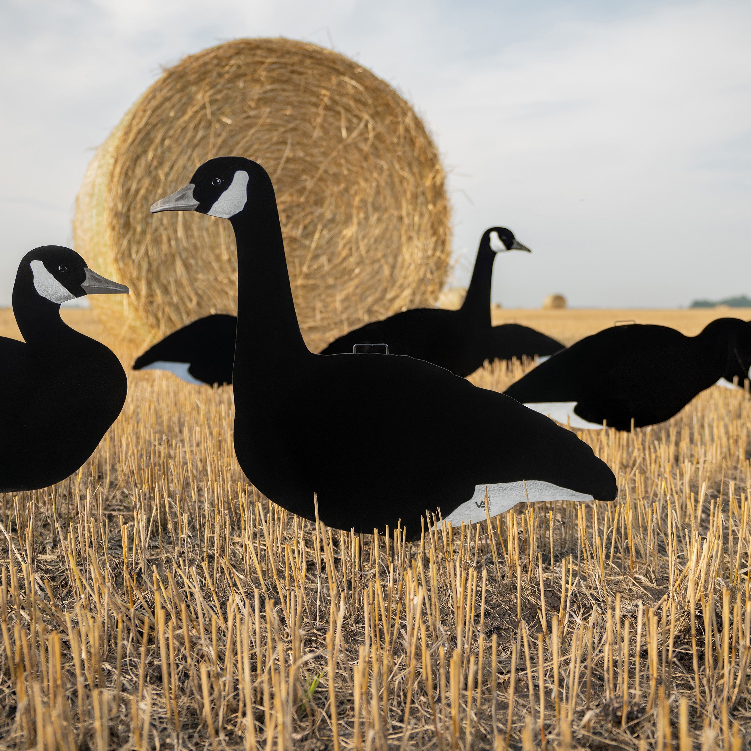 V3BW Flocked Black and White Goose Silhouette Decoys – Dive Bomb Industries