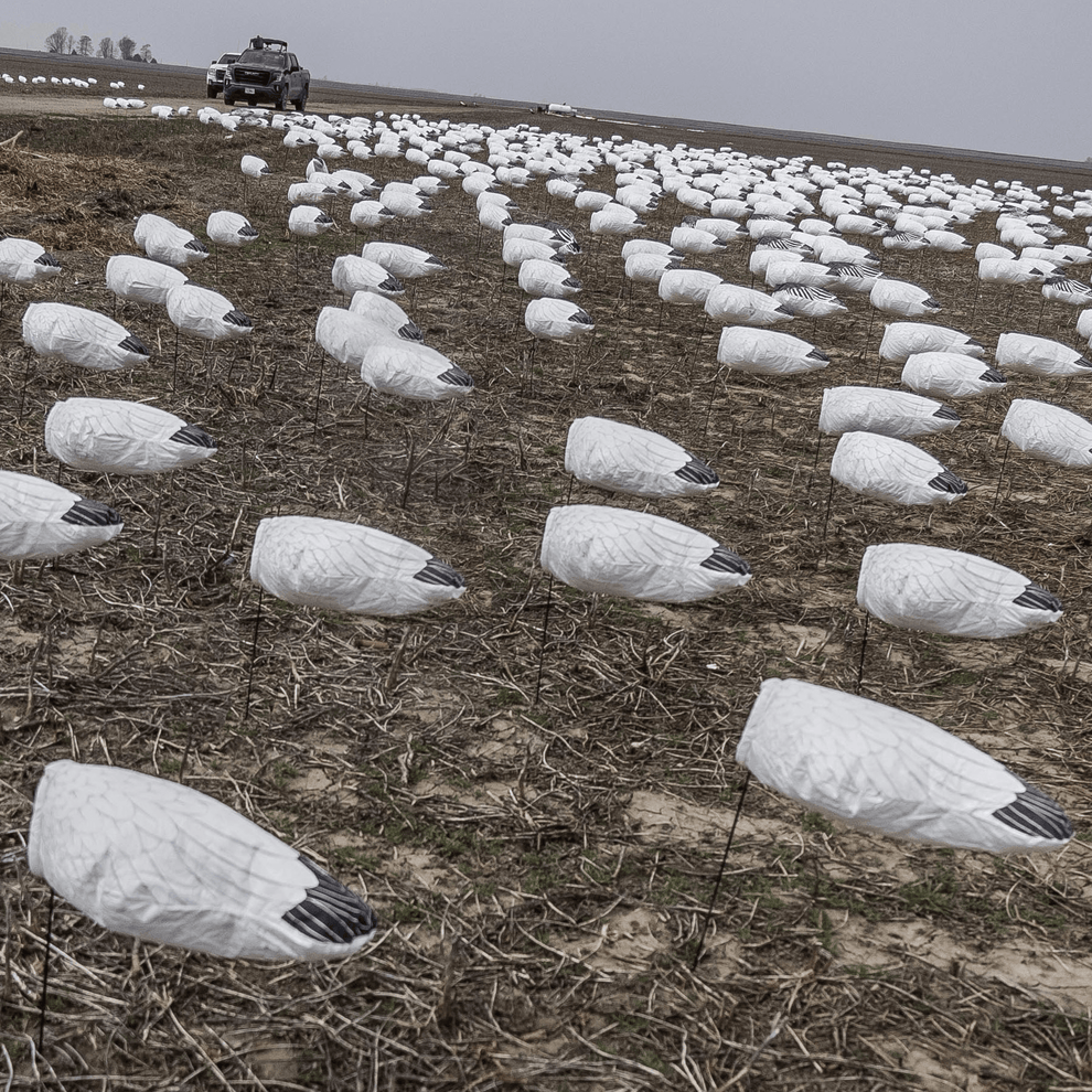 Snow Goose Decoys | Realistic, Durable, and Lightweight – Dive Bomb ...
