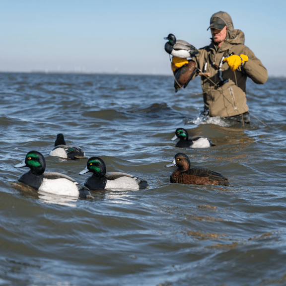Diver Decoys | Realistic, Durable and Built to Perform – Dive Bomb ...