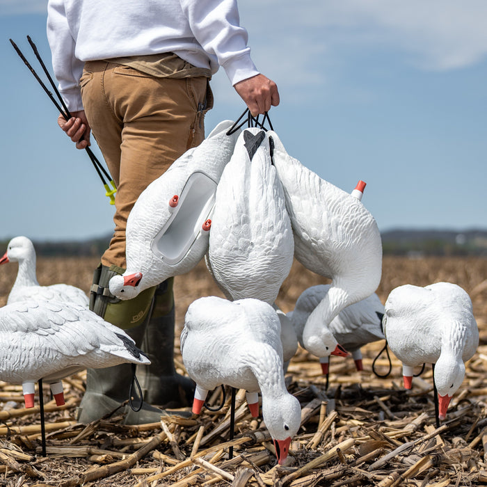 Snow Goose Full Bodies | Lifelike & Durable Decoys – Dive Bomb Industries