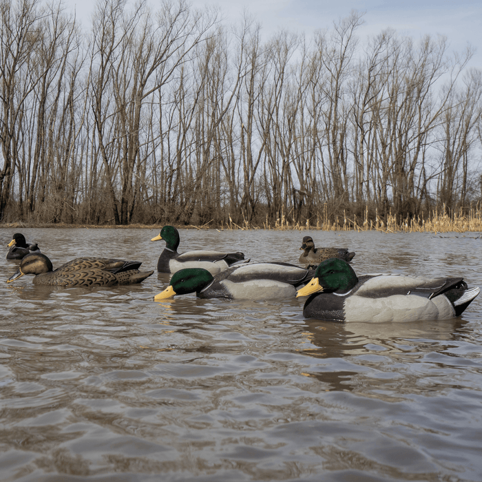 Fully Flocked Mallard Floaters | Ultra-Realistic Duck Decoys – Dive ...