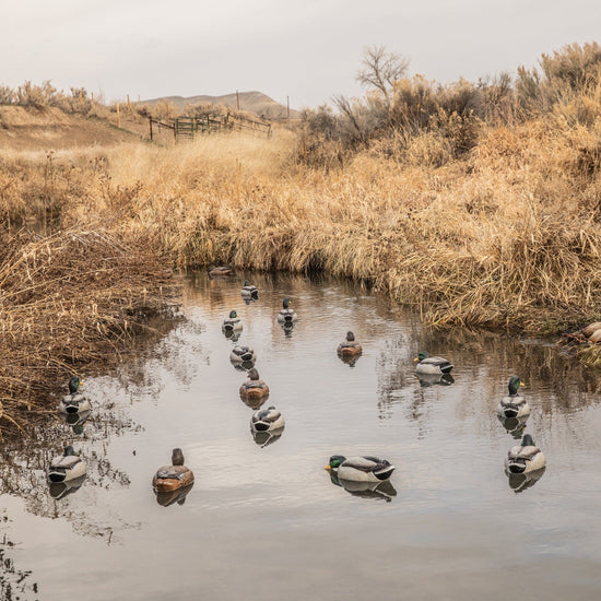 Mallard Floaters | Realistic & Durable Duck Hunting Decoys – Dive Bomb ...