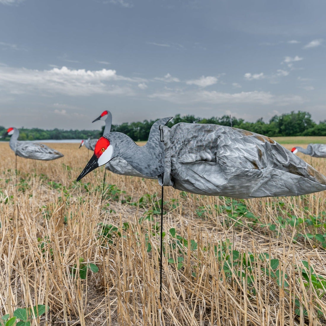 Crane Decoys | Realistic, Durable, and Lightweight – Dive Bomb Industries
