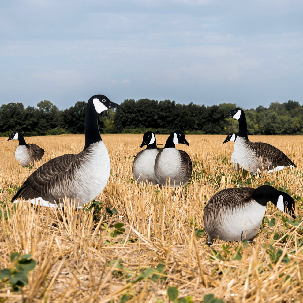 Canada Goose Silhouette Decoys | Dive Bomb Industries