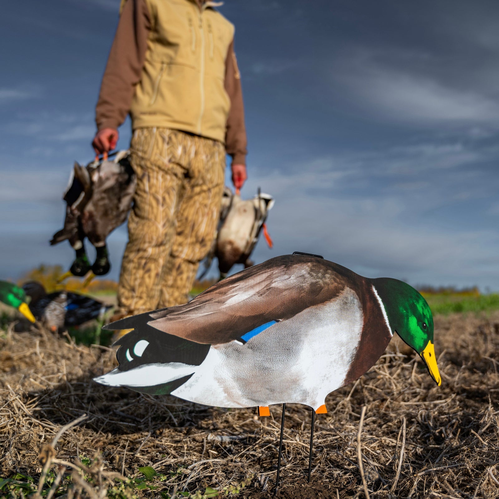 Mallard Decoys | Realistic, Durable and Built for Success – Dive Bomb ...